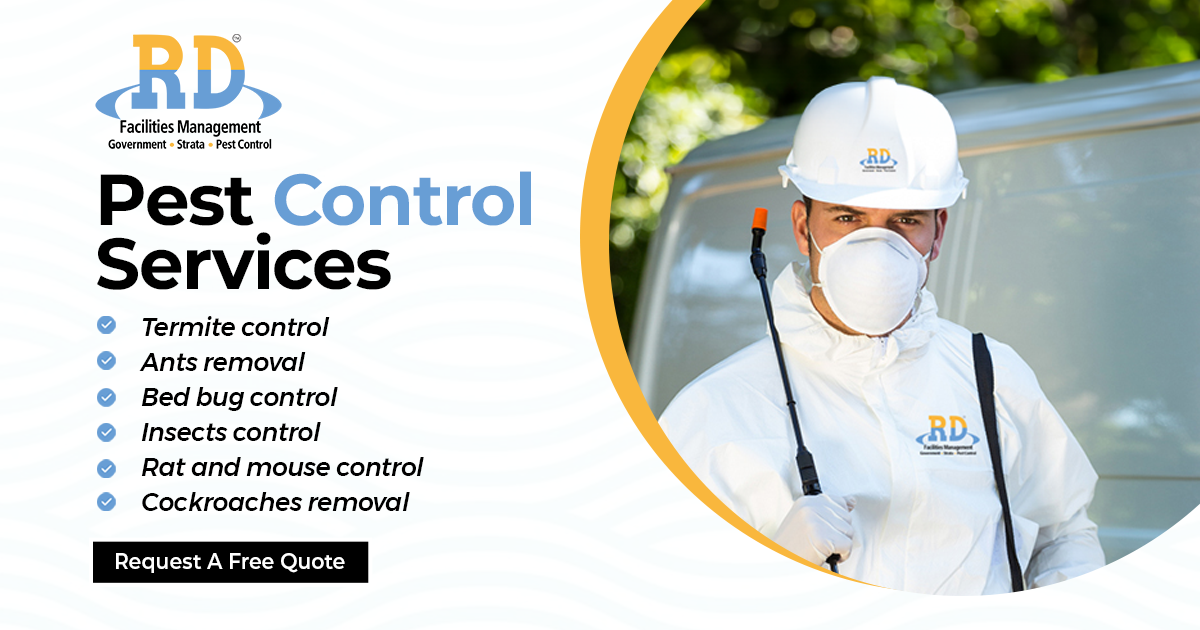 Pest Control Sydney | Termite Treatment & Inspection Services